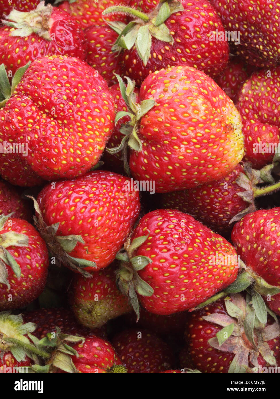 Fresh red strawberry for background Stock Photo - Alamy