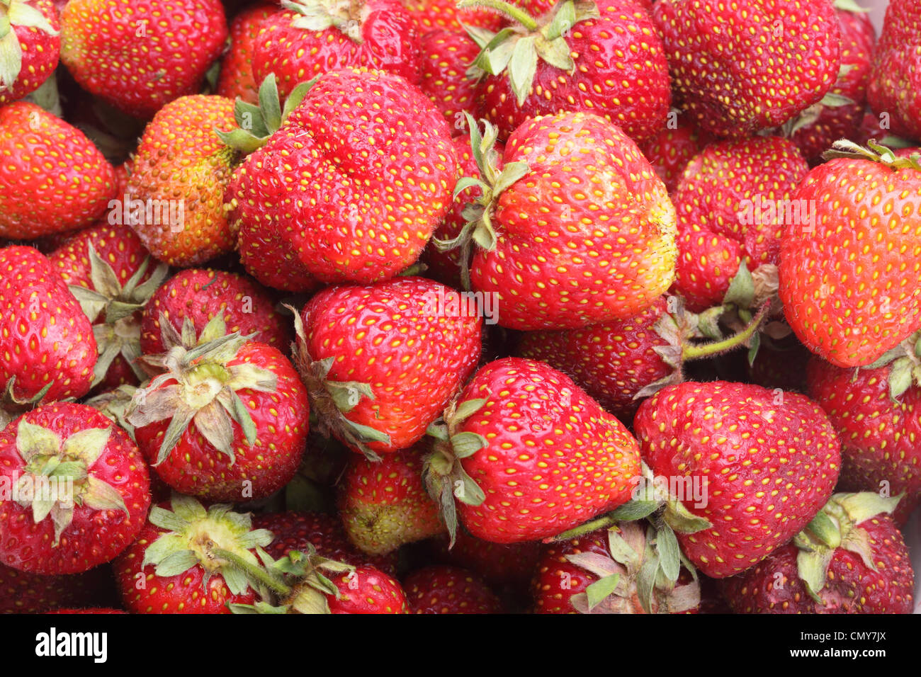 Fresh red strawberry for background Stock Photo - Alamy