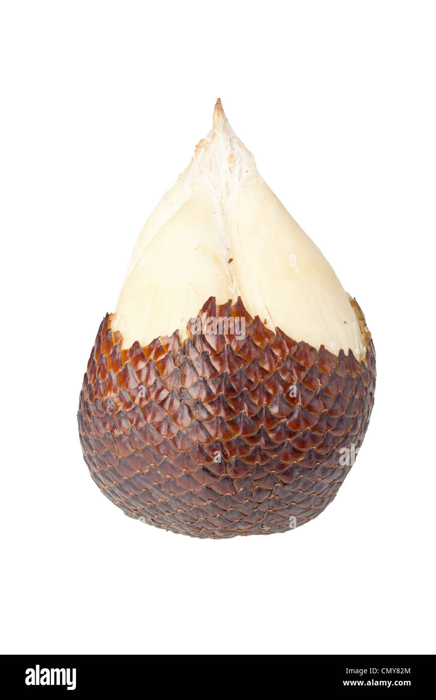 Single half peeled scaly snake fruit isolated on white background Stock ...