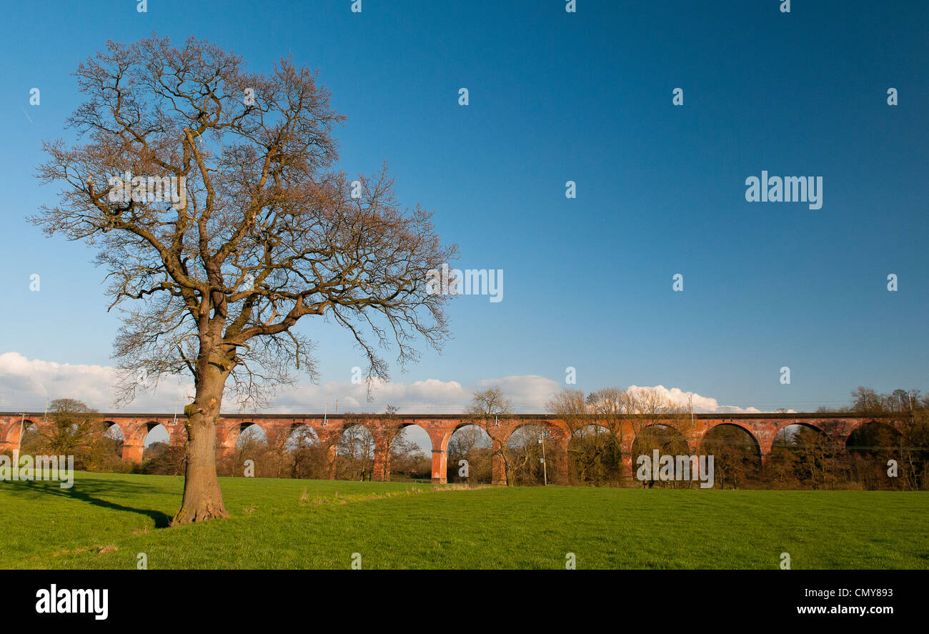 Twemlow Viaduct, Cheshire, on a sunny spring day, with a tree in the ...