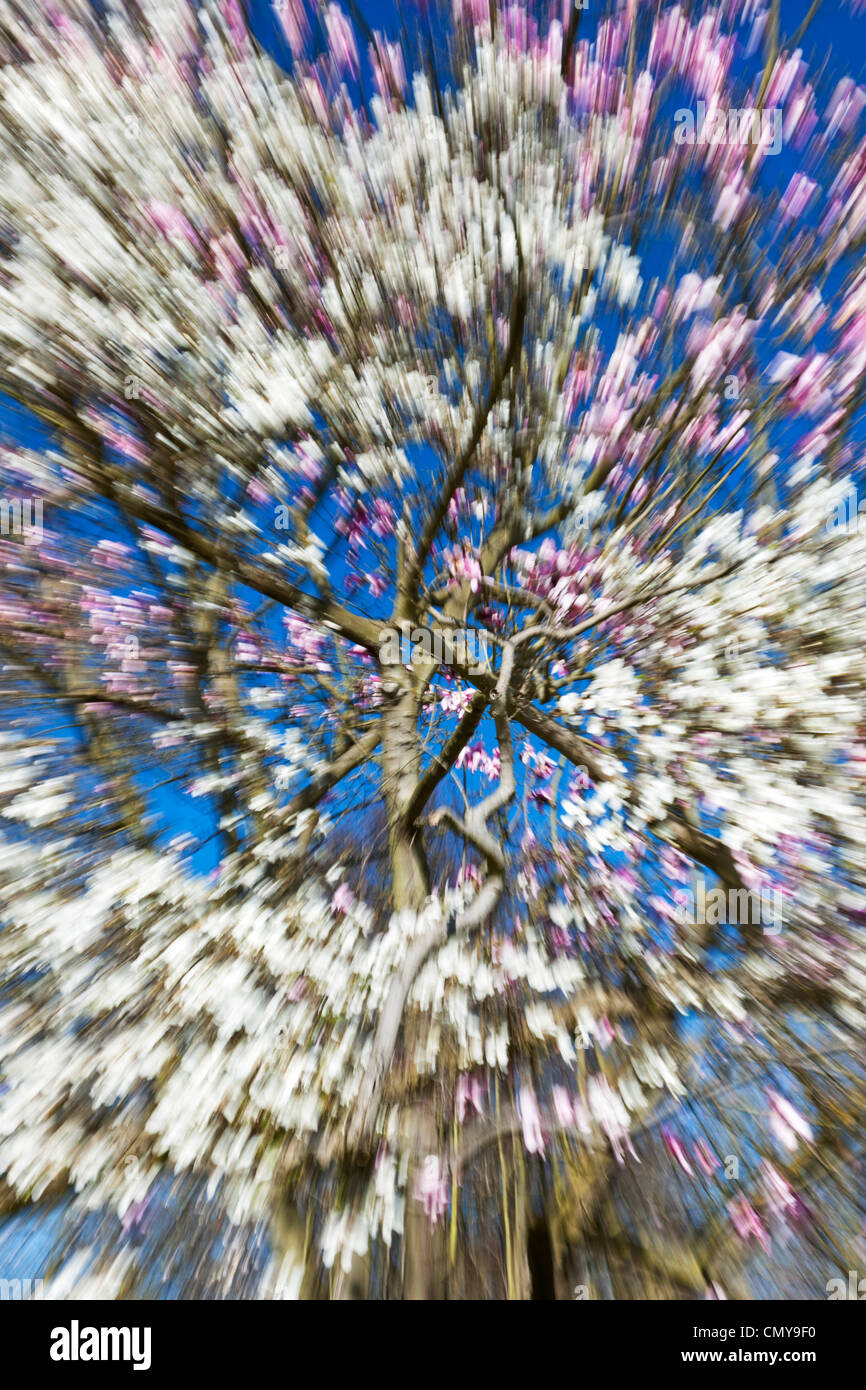 Explosion of color hi-res stock photography and images - Alamy