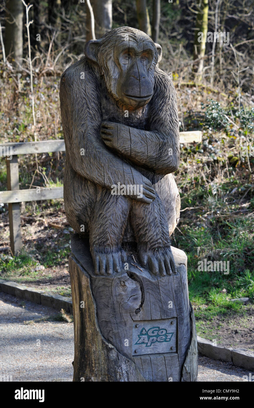 'Go Ape'', Outdoor sculpture. Grizedale Forest Park, Lake District ...