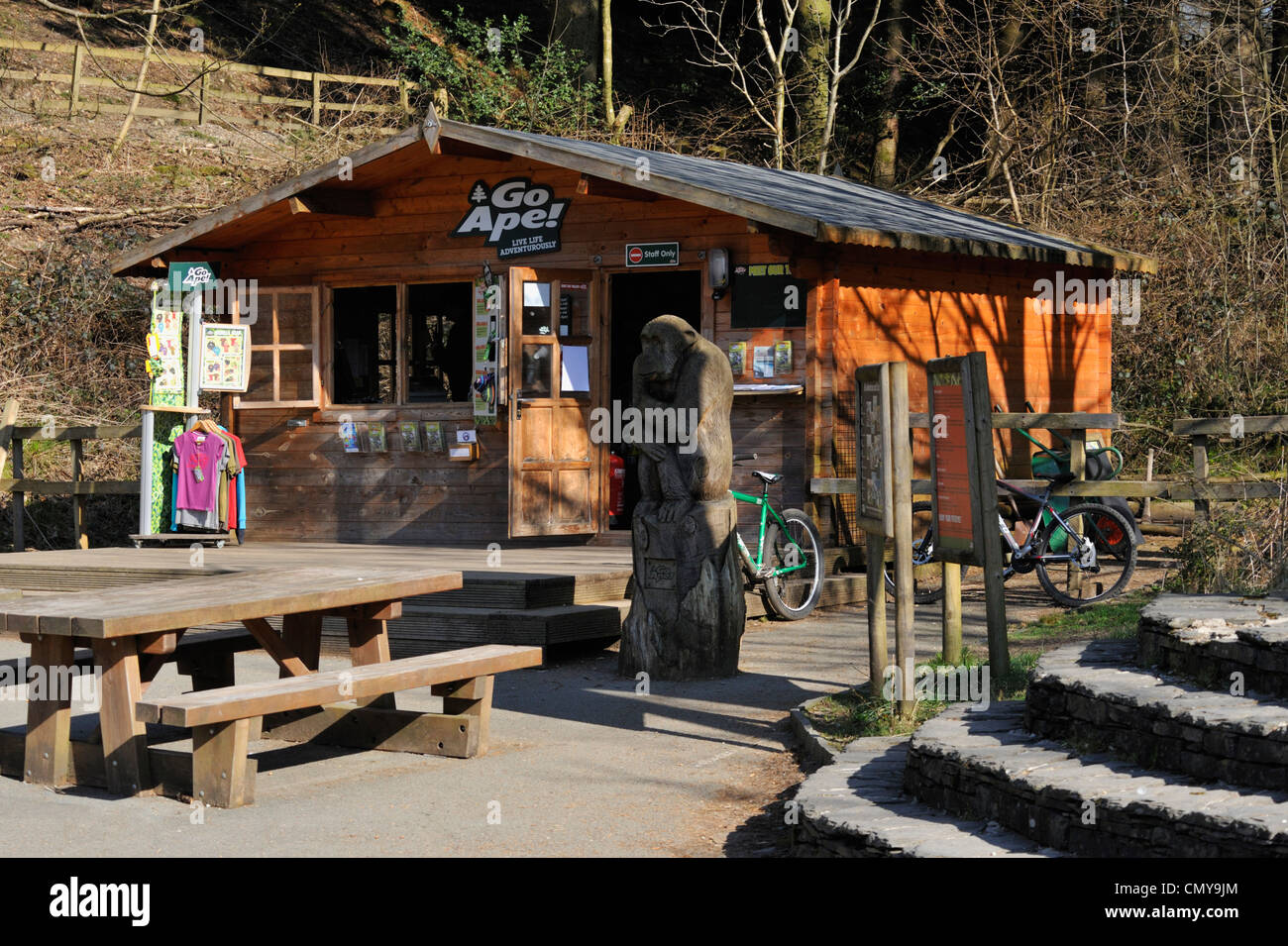'Go Ape'' forest adventure centre. Grizedale Forest Park, Lake District ...