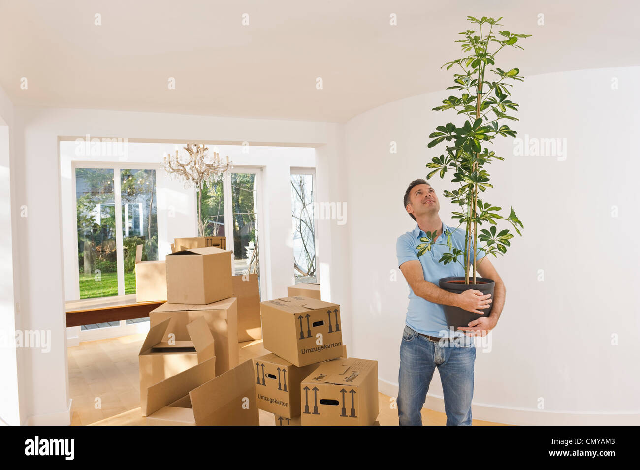 Germany, Bavaria, Grobenzell, Mature man carrying pot plant Stock Photo ...