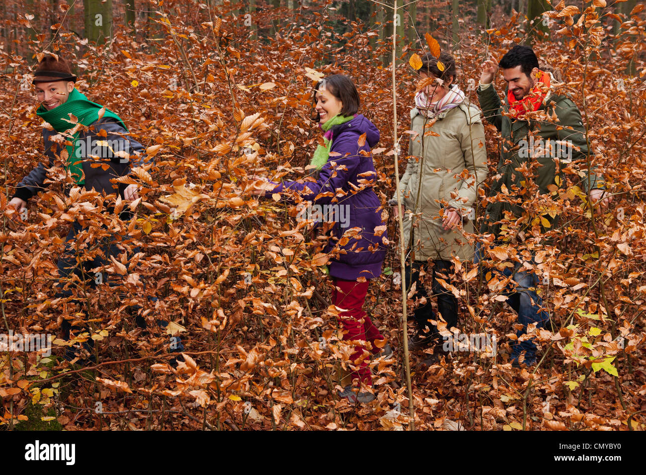 Looking through bushes autumn hi-res stock photography and images - Alamy