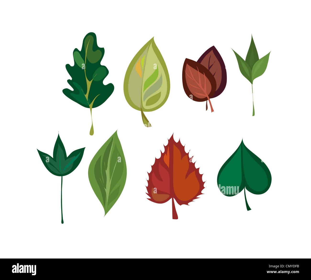 Fretted leaves hi-res stock photography and images - Alamy
