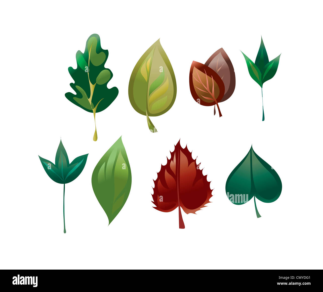 image of different leaves of different trees Stock Photo - Alamy