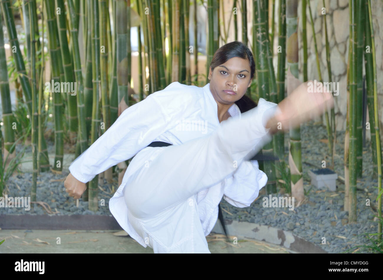 Black belt karate expert hi-res stock photography and images - Alamy