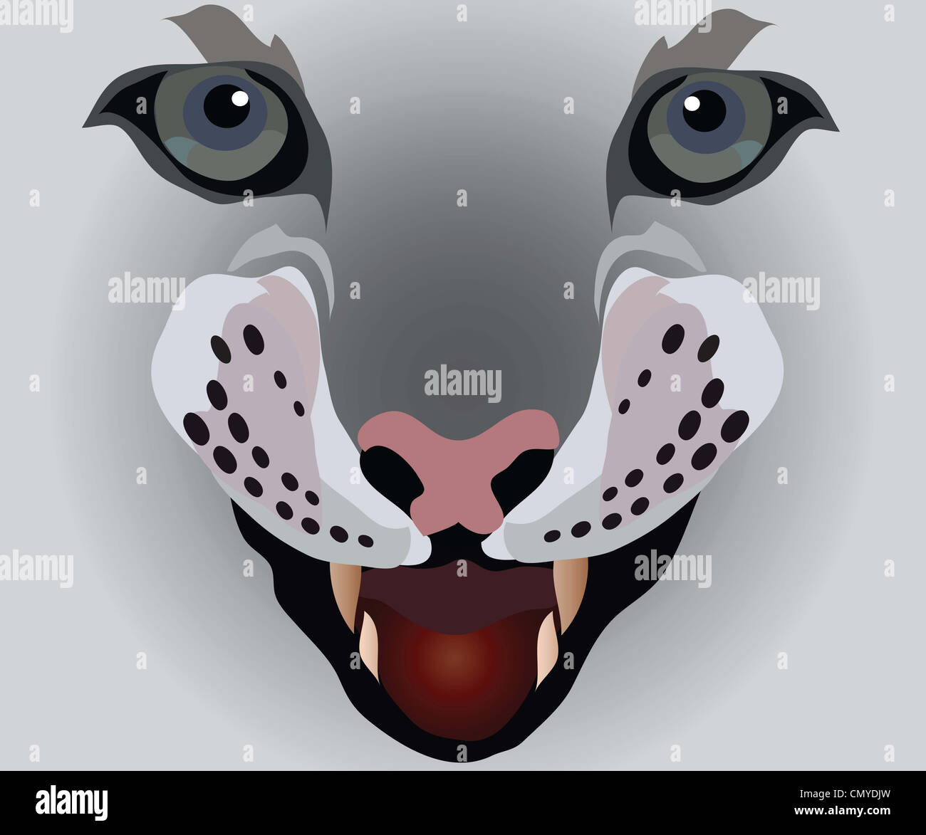 lady-cat with dog-teeth Stock Photo - Alamy