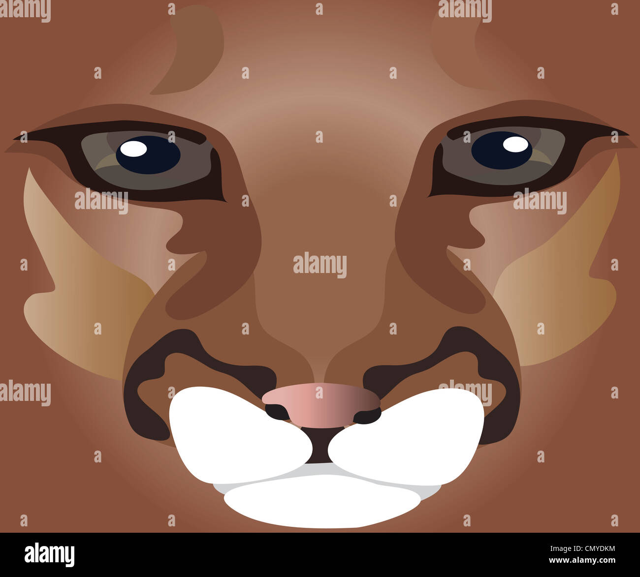 Puma eyes hi-res stock photography and images - Alamy