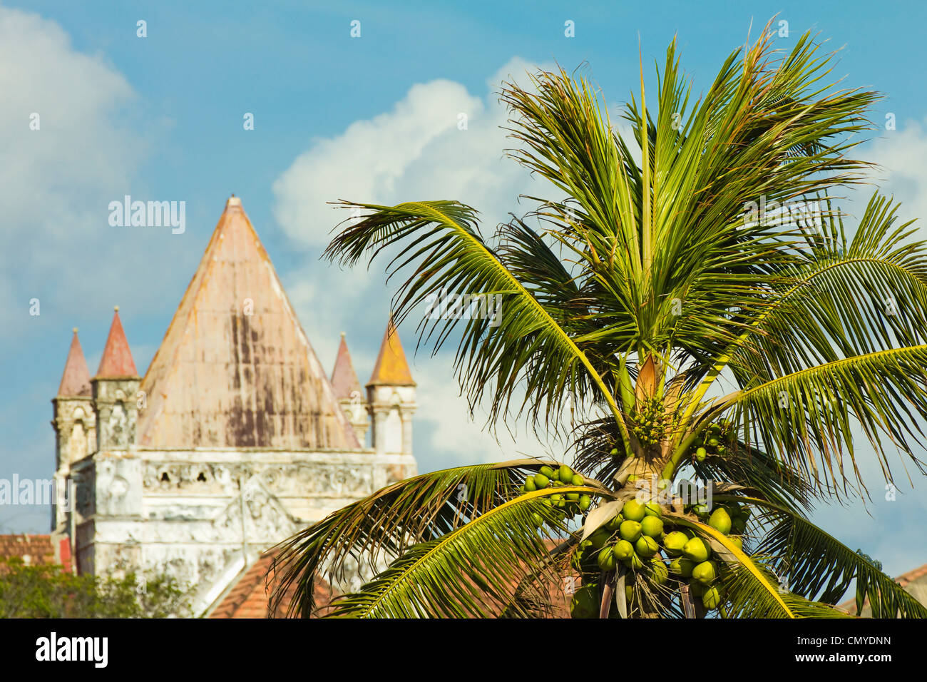 Palm tree & All Saints Anglican Church inside the old Dutch Fort, well ...