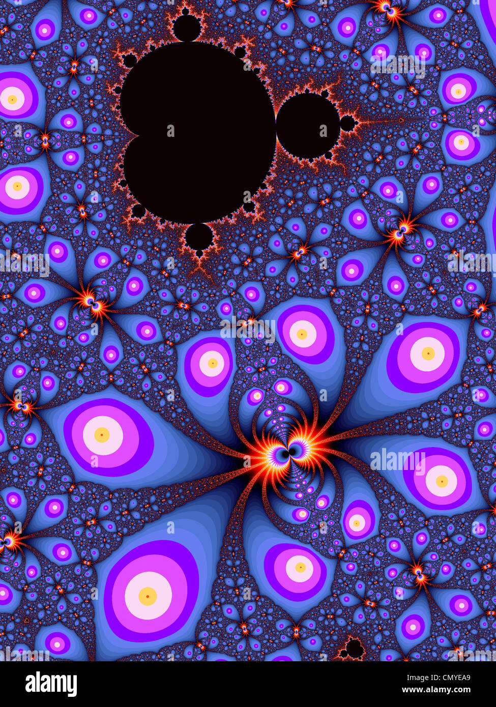 Fractal Spiders Or Crabs Of The Mandelbrot Set - inspired by Ziggy and ...