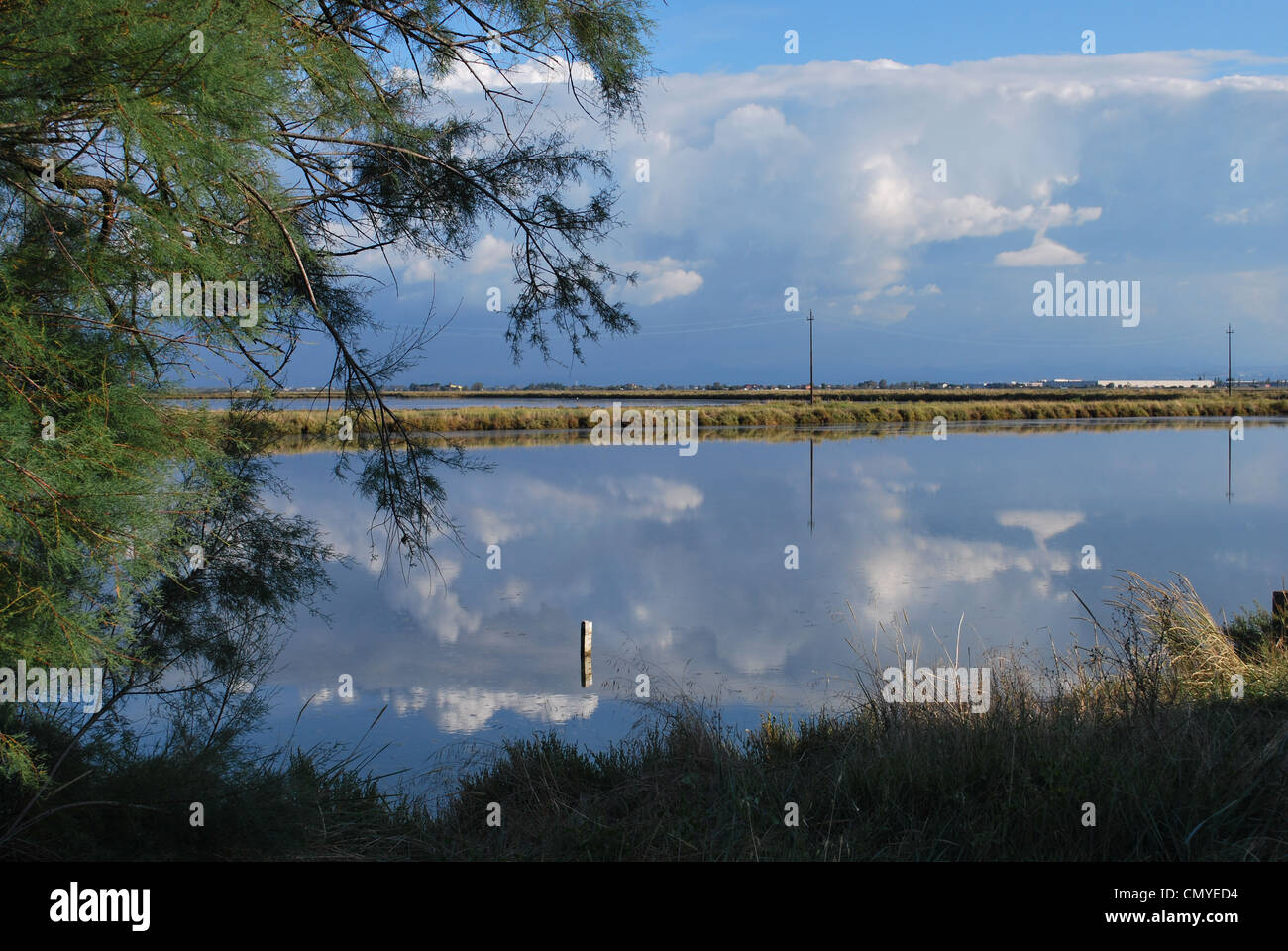 Small lake reflecting blue cloudy sky in summer, Cervia, Ravenna ...