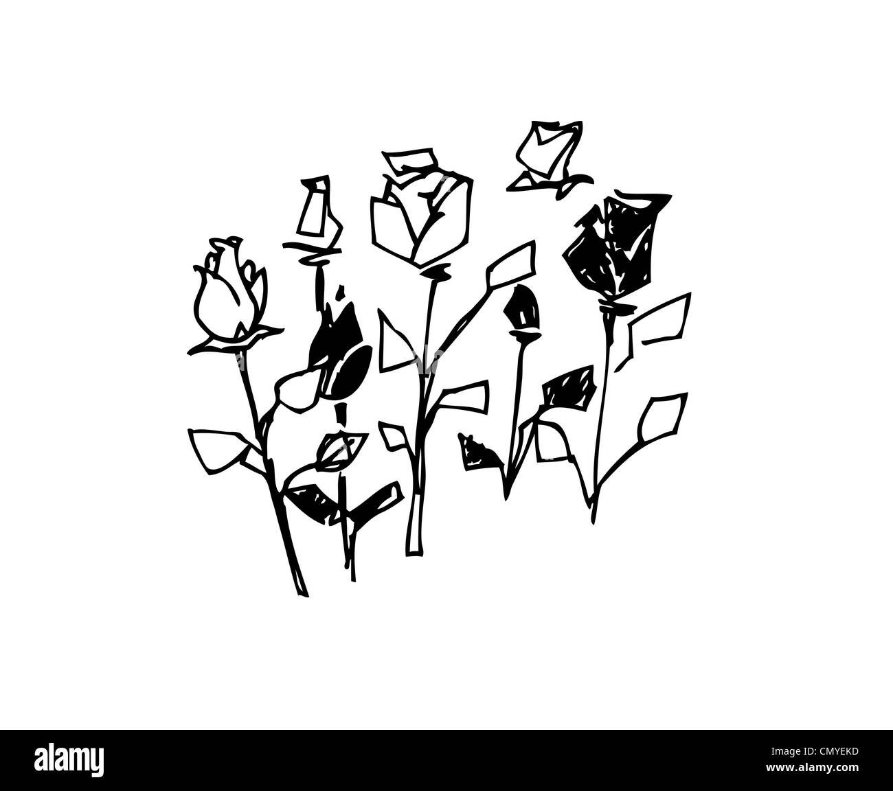 Sheet out Black and White Stock Photos & Images - Alamy