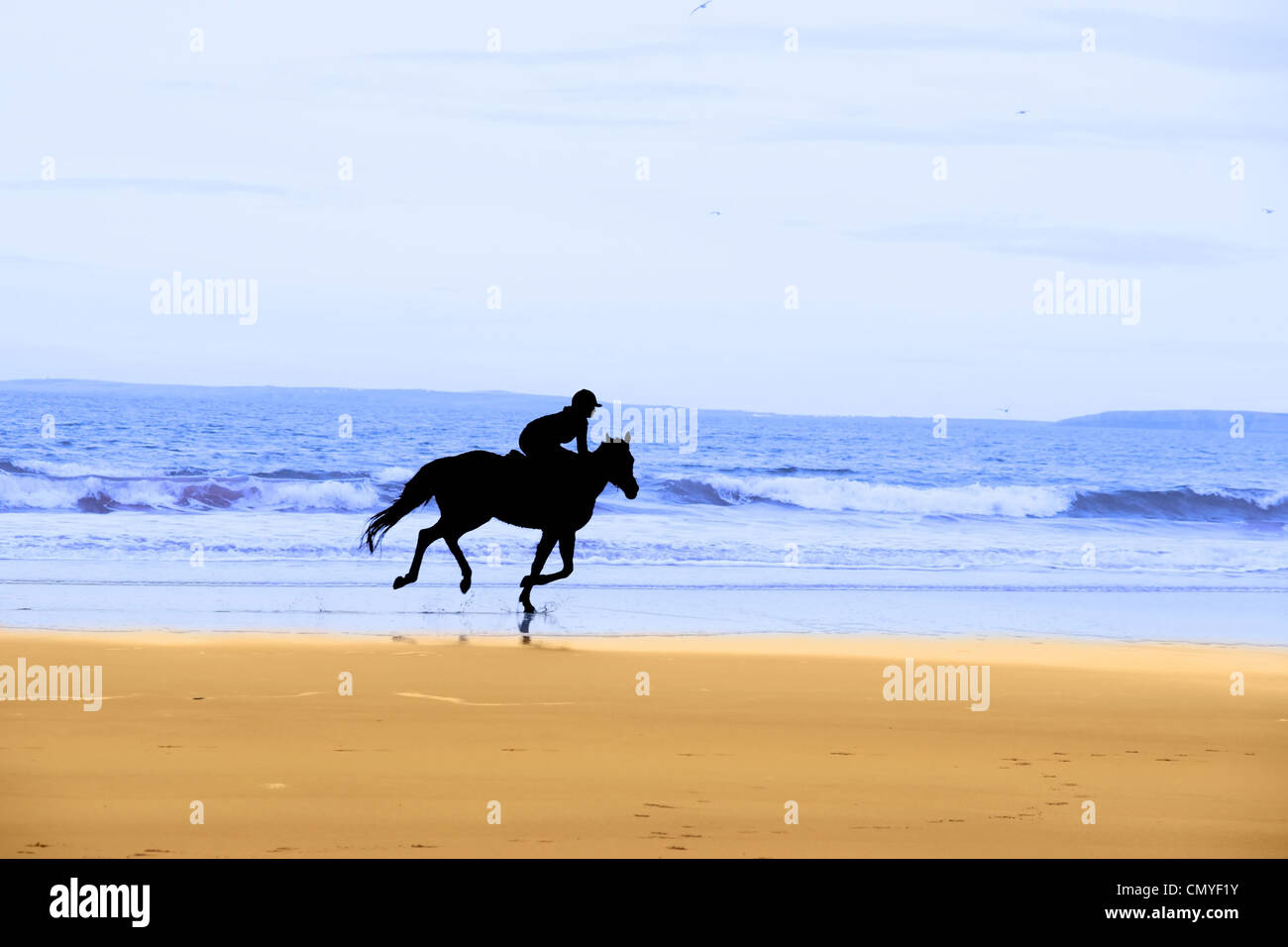 Black horse galloping on beach hi-res stock photography and images - Alamy