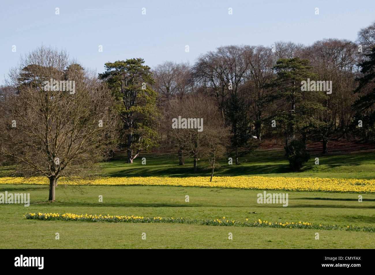 Grown en mass hi-res stock photography and images - Alamy