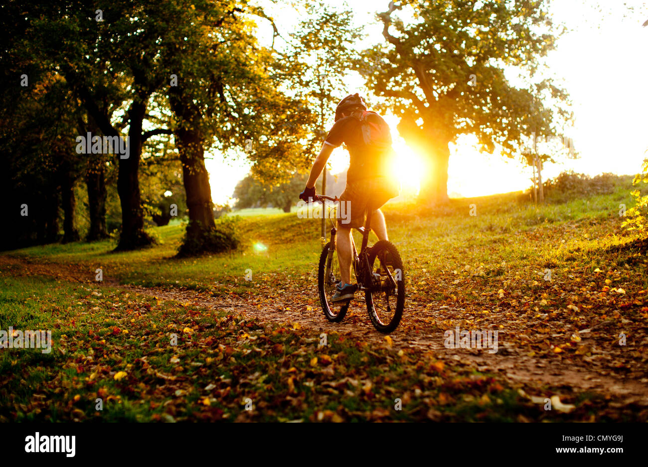 Mountain biking cyclist rides around Ashton Court bike trail during the ...