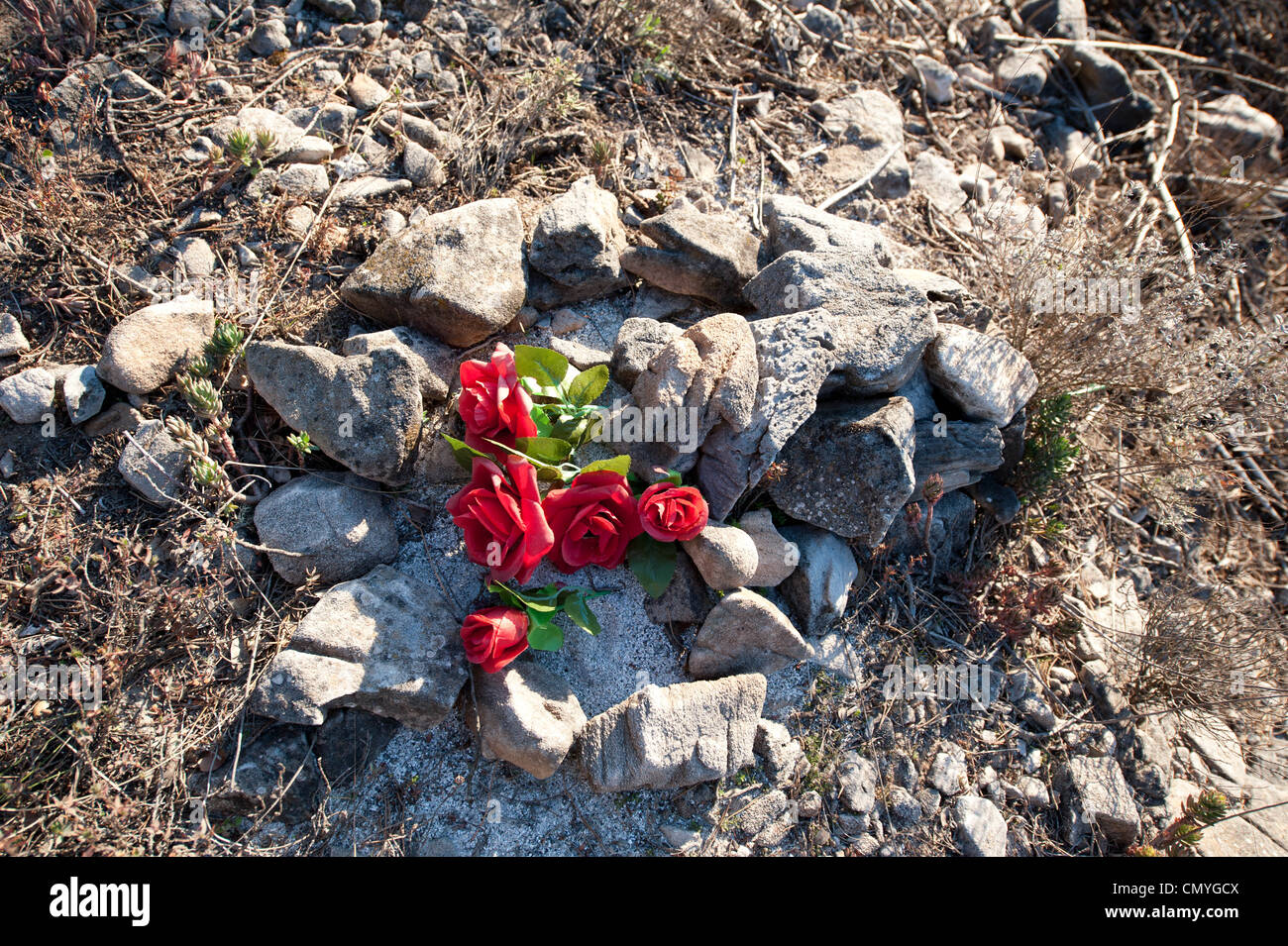 roses on a grave in the sierra de mijas Stock Photo - Alamy