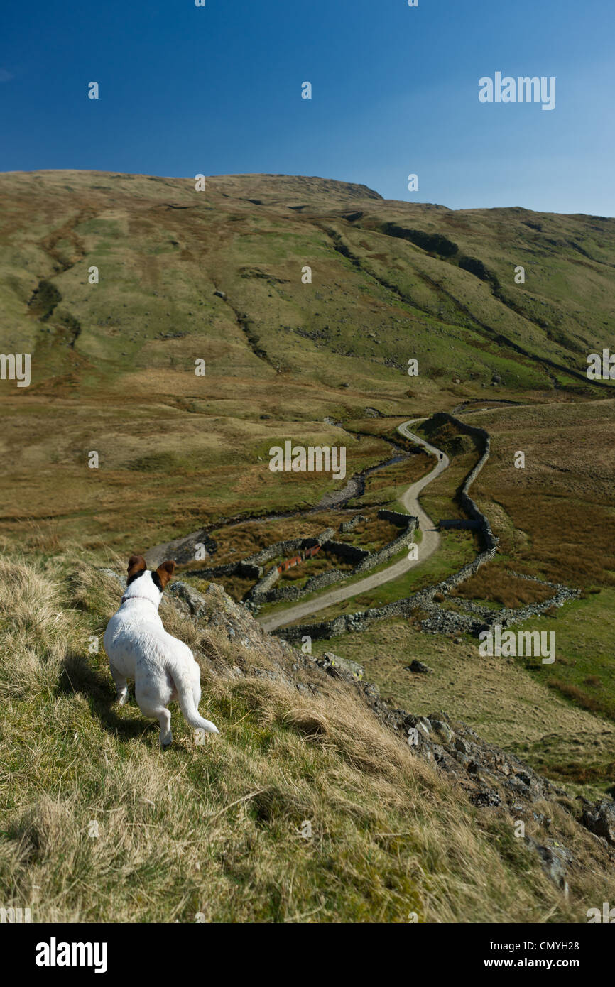 Open fellside hi-res stock photography and images - Alamy