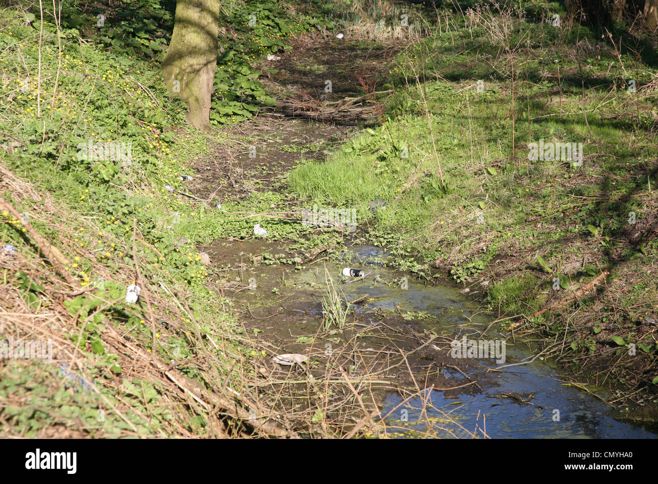 Drying up river hi-res stock photography and images - Alamy