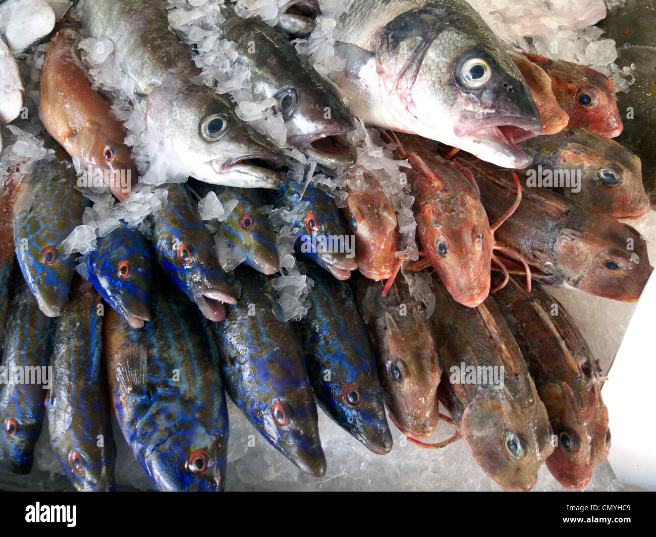 united kingdom littlehampton a wet fish display on a fishmongers stall ...