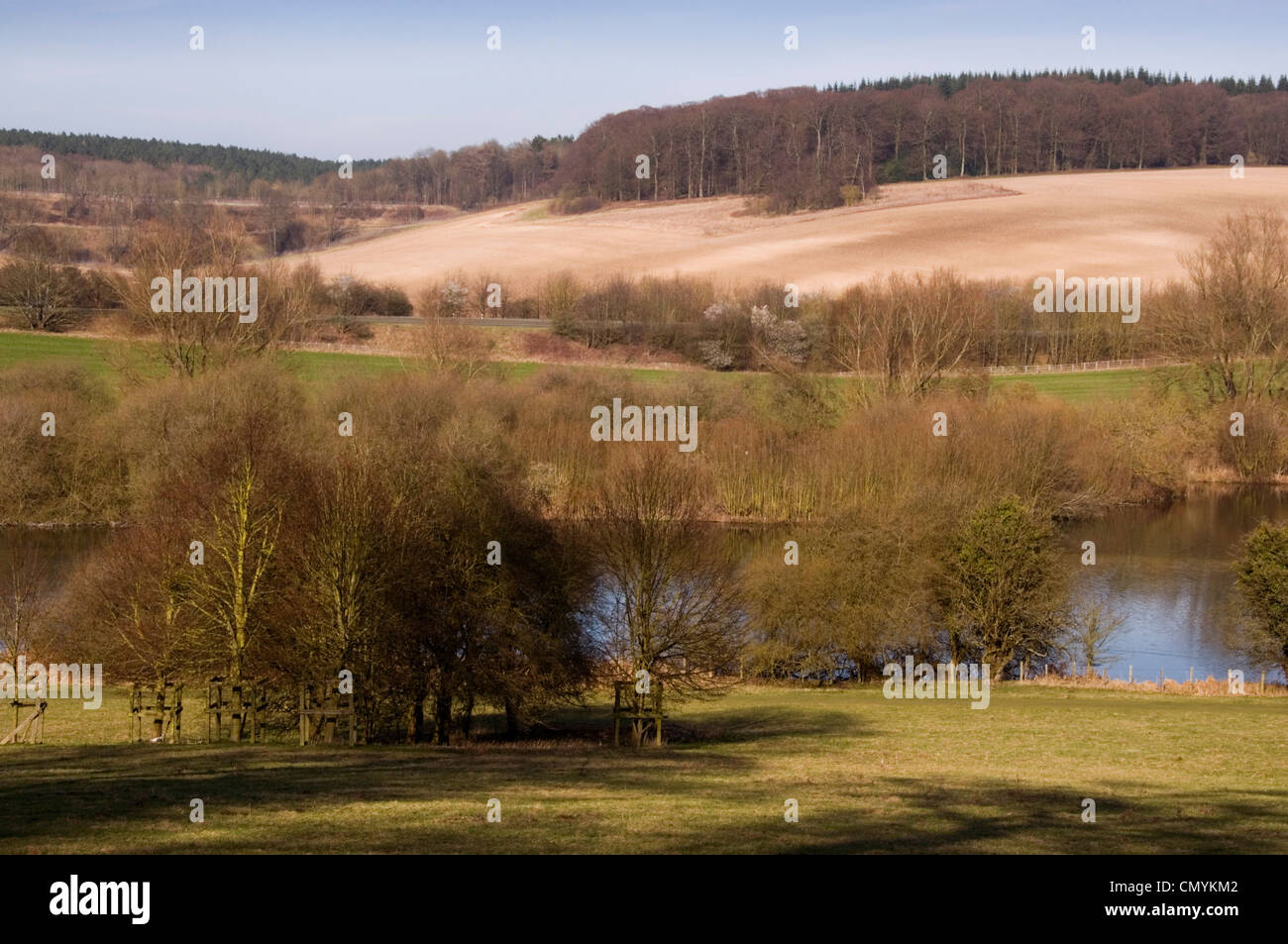 Bucks - Chiltern Hills - Shardeloes estate - view across lake fed by ...
