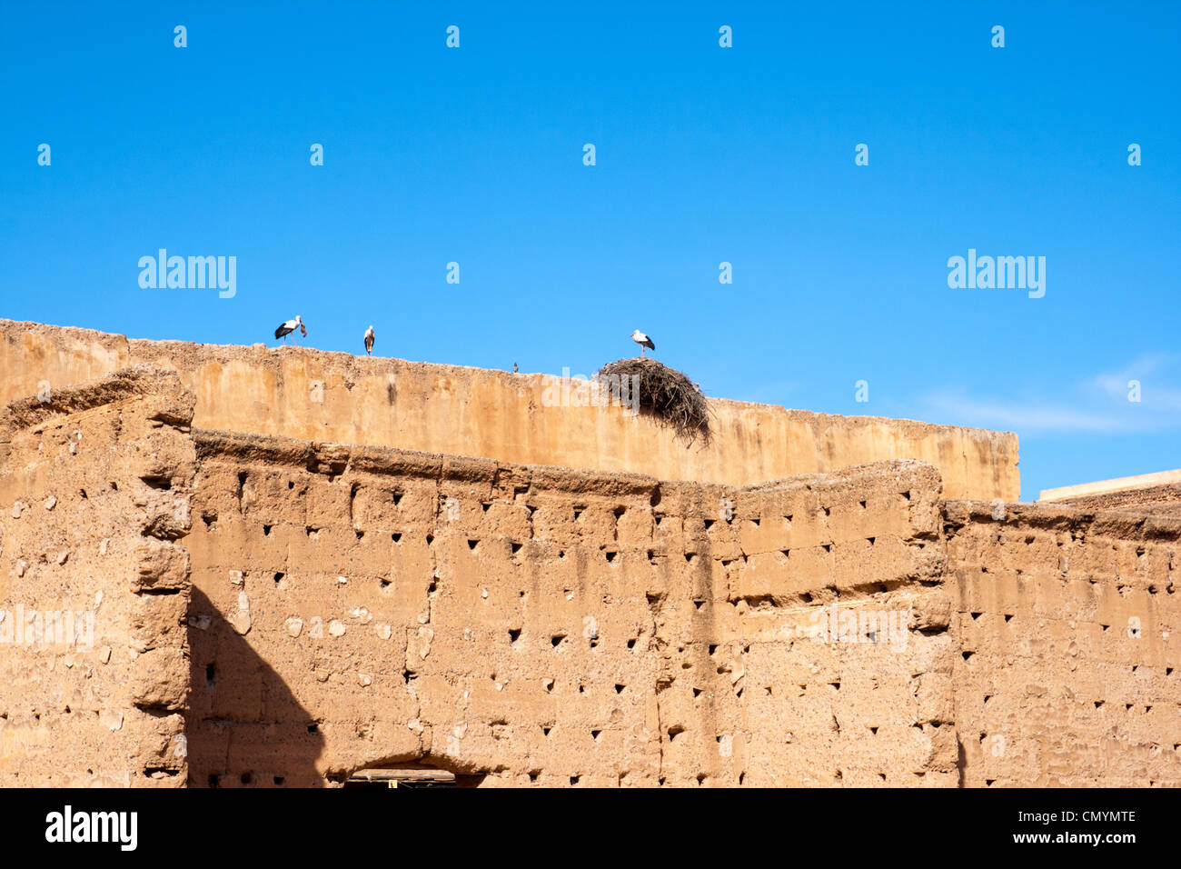 Stork nesting on city hi-res stock photography and images - Alamy