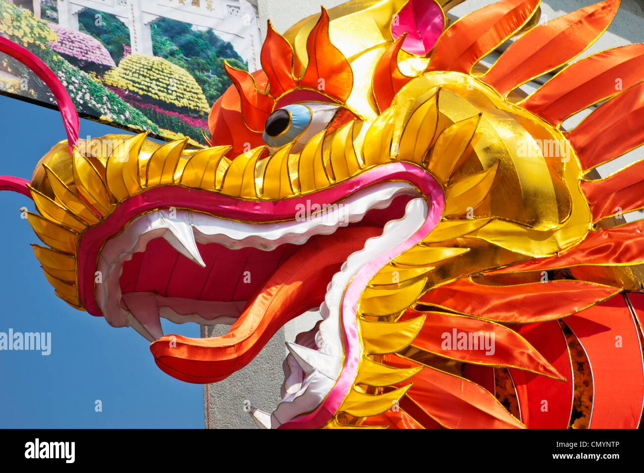 China, Hong Kong, Tsuen Wan, Yuen Yuen Institute, Chinese Dragon Stock ...