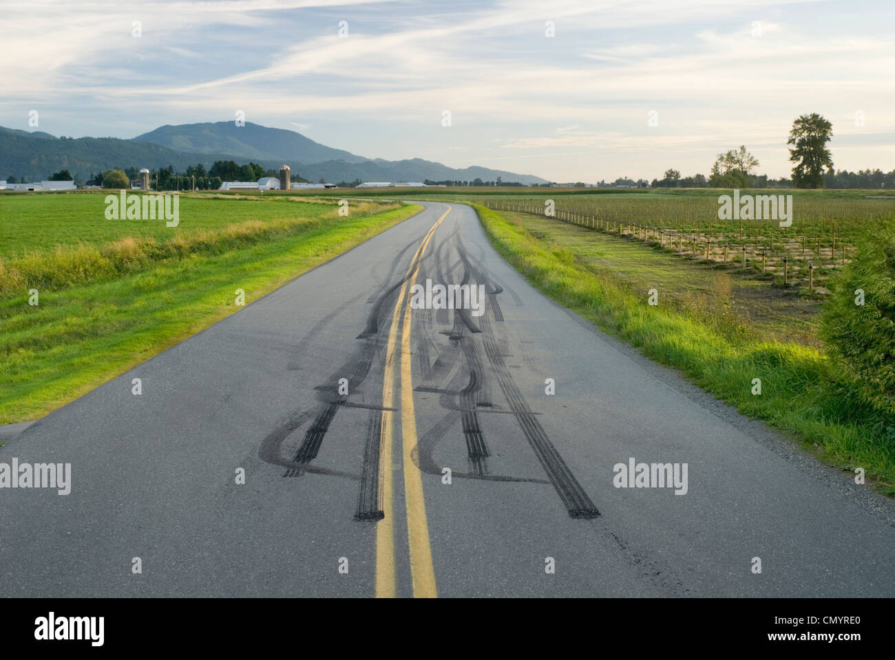 Rubber tread marks on a country road, Abbotsford, British Columbia ...