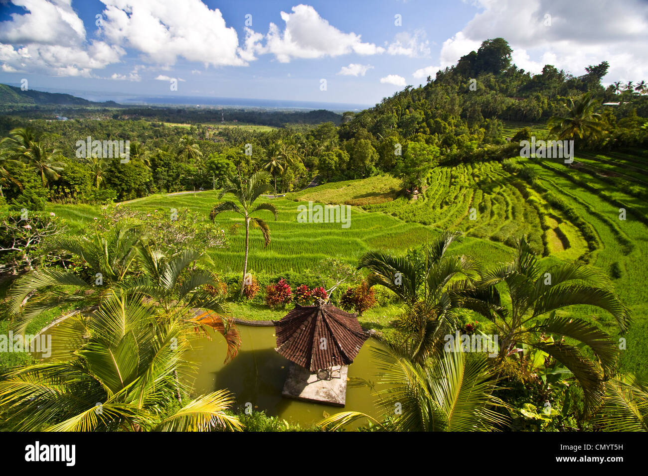 terraced rice fields, Indonesia Bali Stock Photo - Alamy