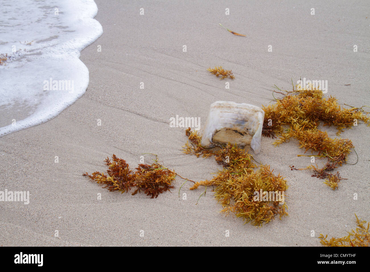 Plastic water container hi-res stock photography and images - Alamy