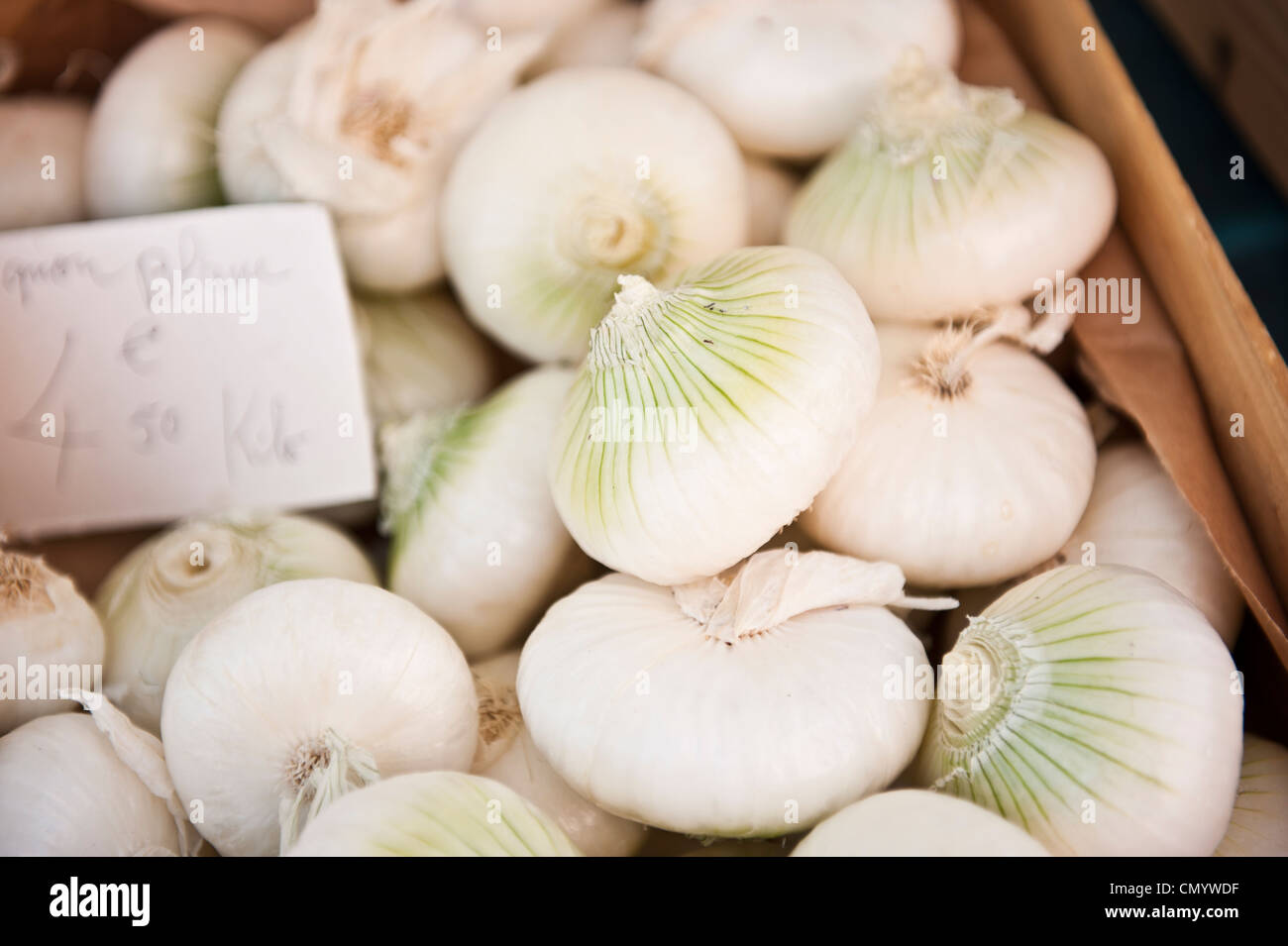 A bunch of onions in a cardboard box Stock Photo - Alamy