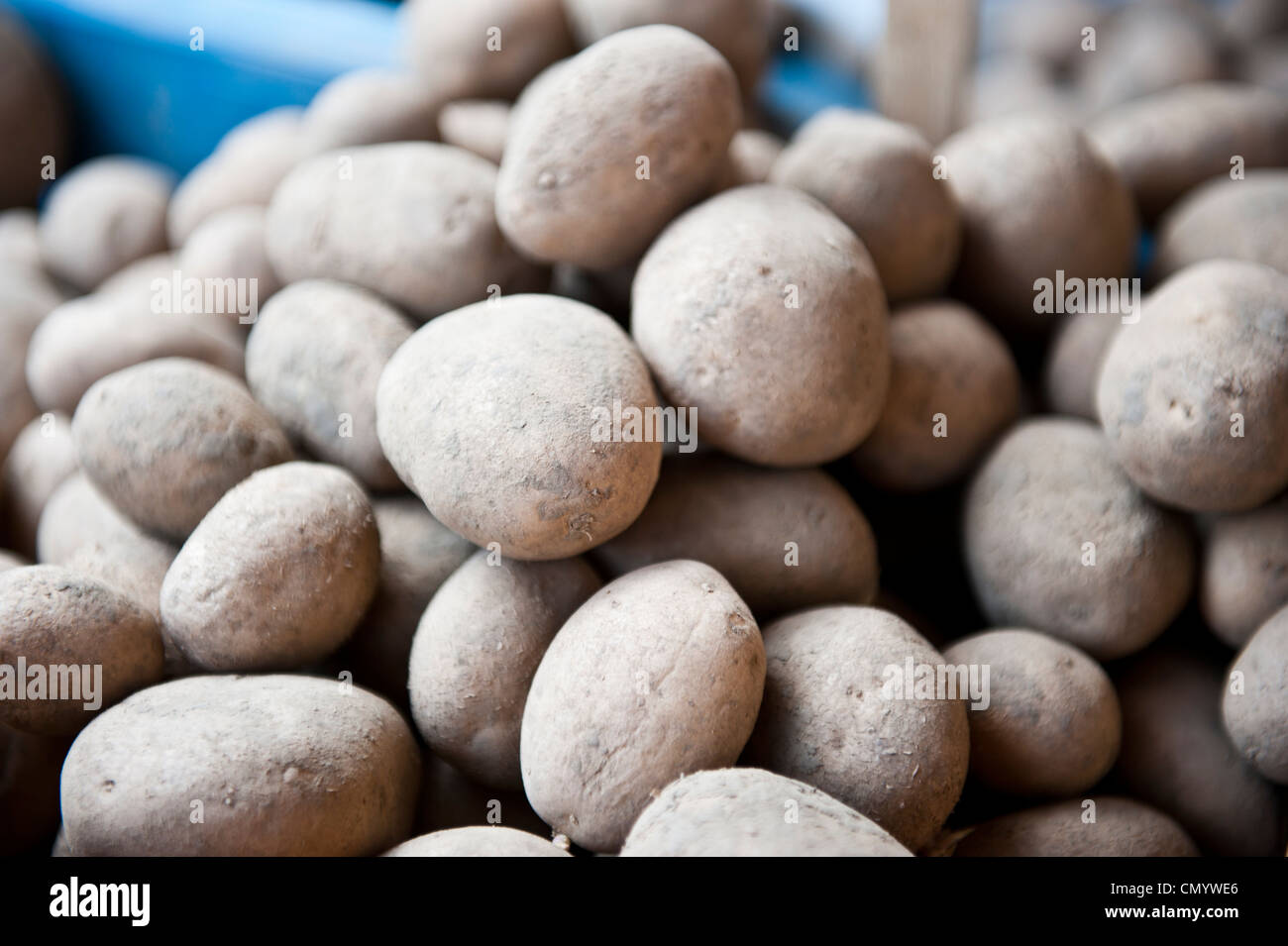 A bunch of dry looking potatoes Stock Photo - Alamy