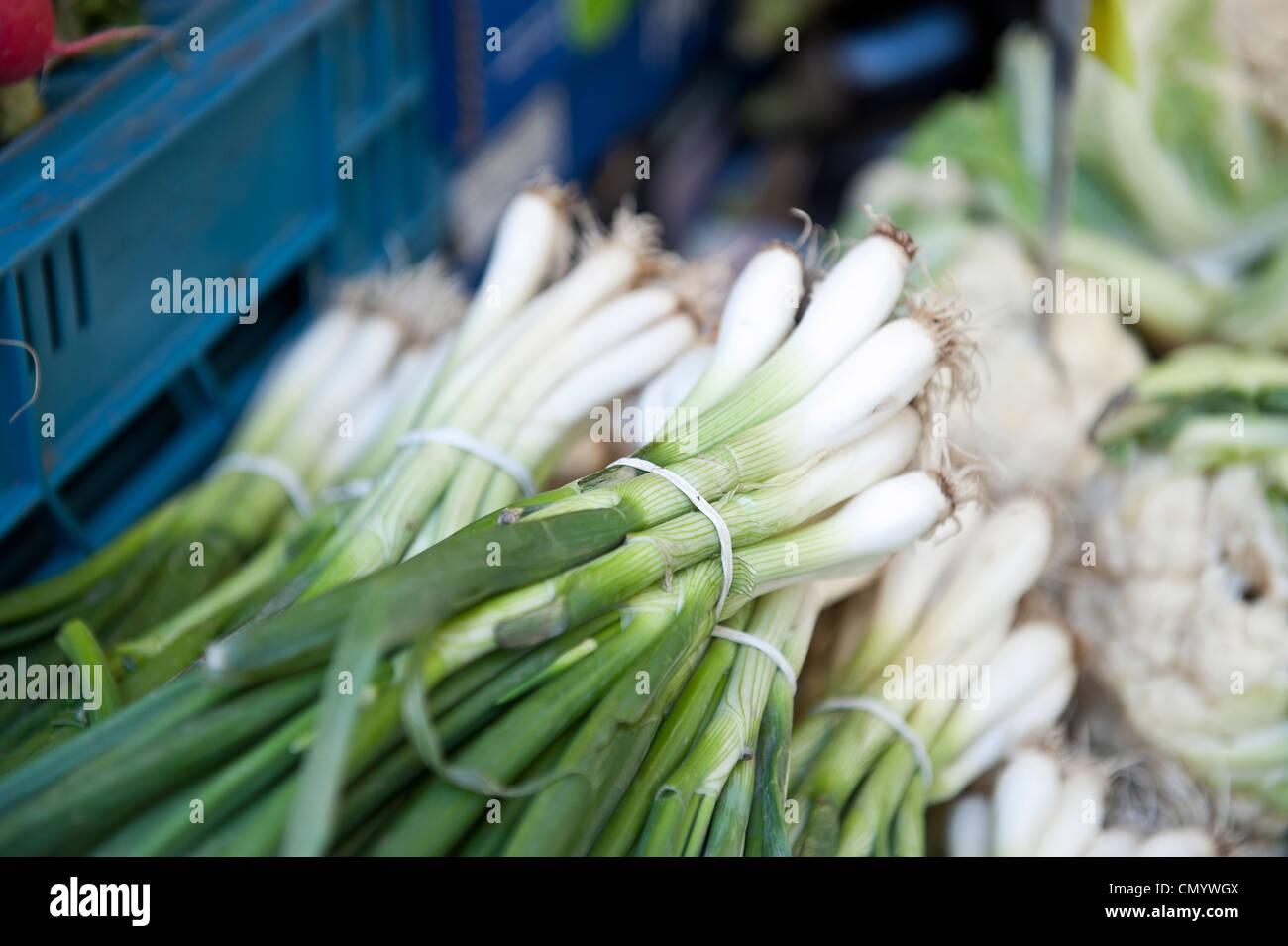 Fresh green onions in the grocery store Stock Photo - Alamy