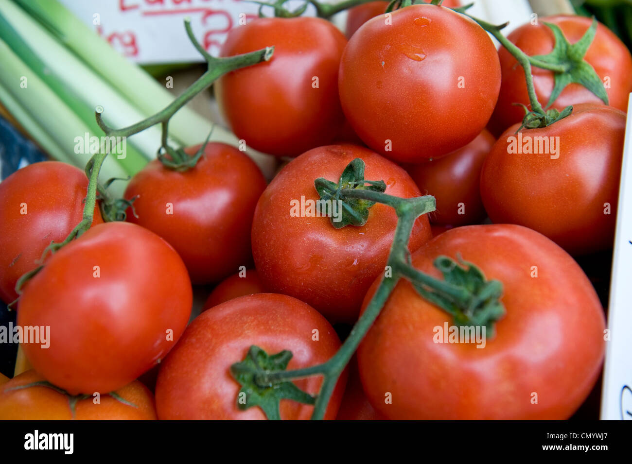 Freshly grown tomatoes in the food market Stock Photo - Alamy