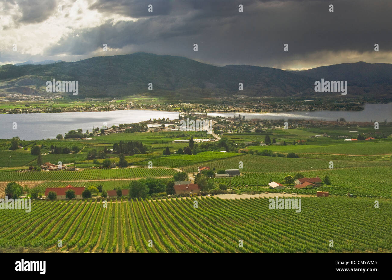 Orchards and Vineyards near Osoyoos, BC Stock Photo - Alamy