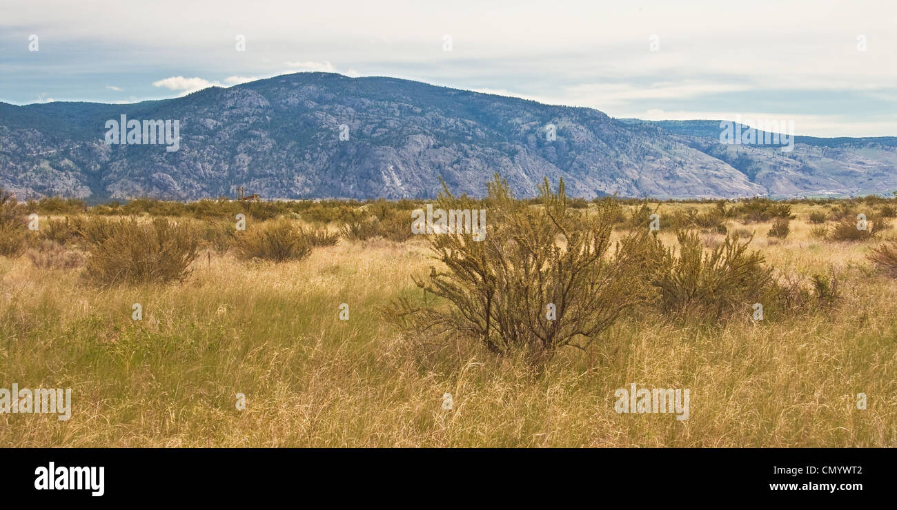 Pocket Desert, Osoyoos, BC Stock Photo - Alamy