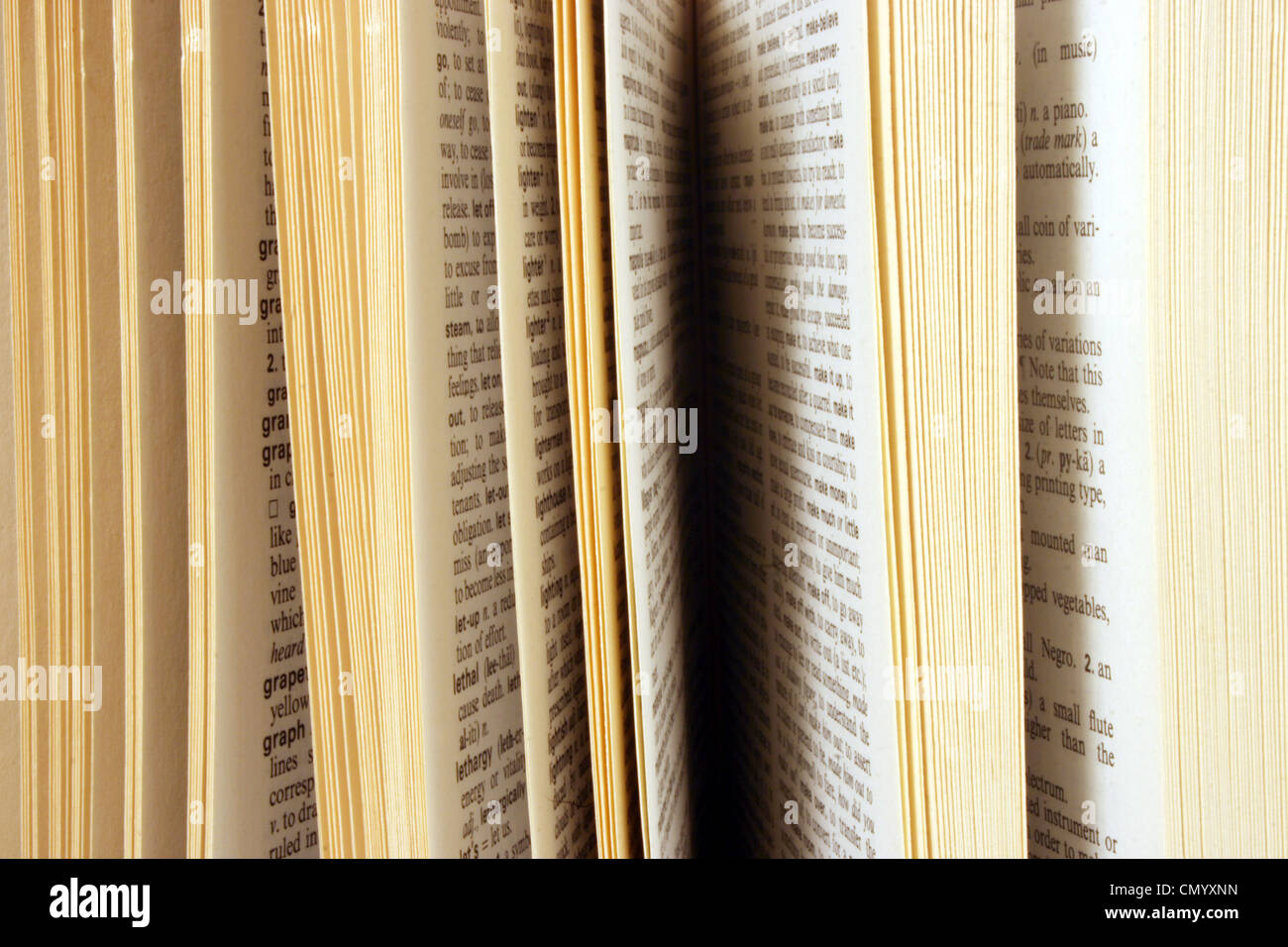 Dictionary cover hi-res stock photography and images - Alamy