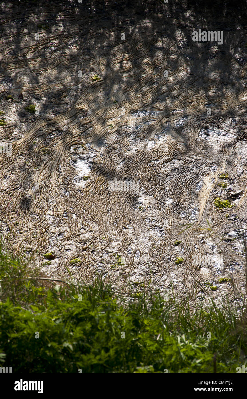 Algae algal mat in stream of drainage ditch Stock Photo - Alamy