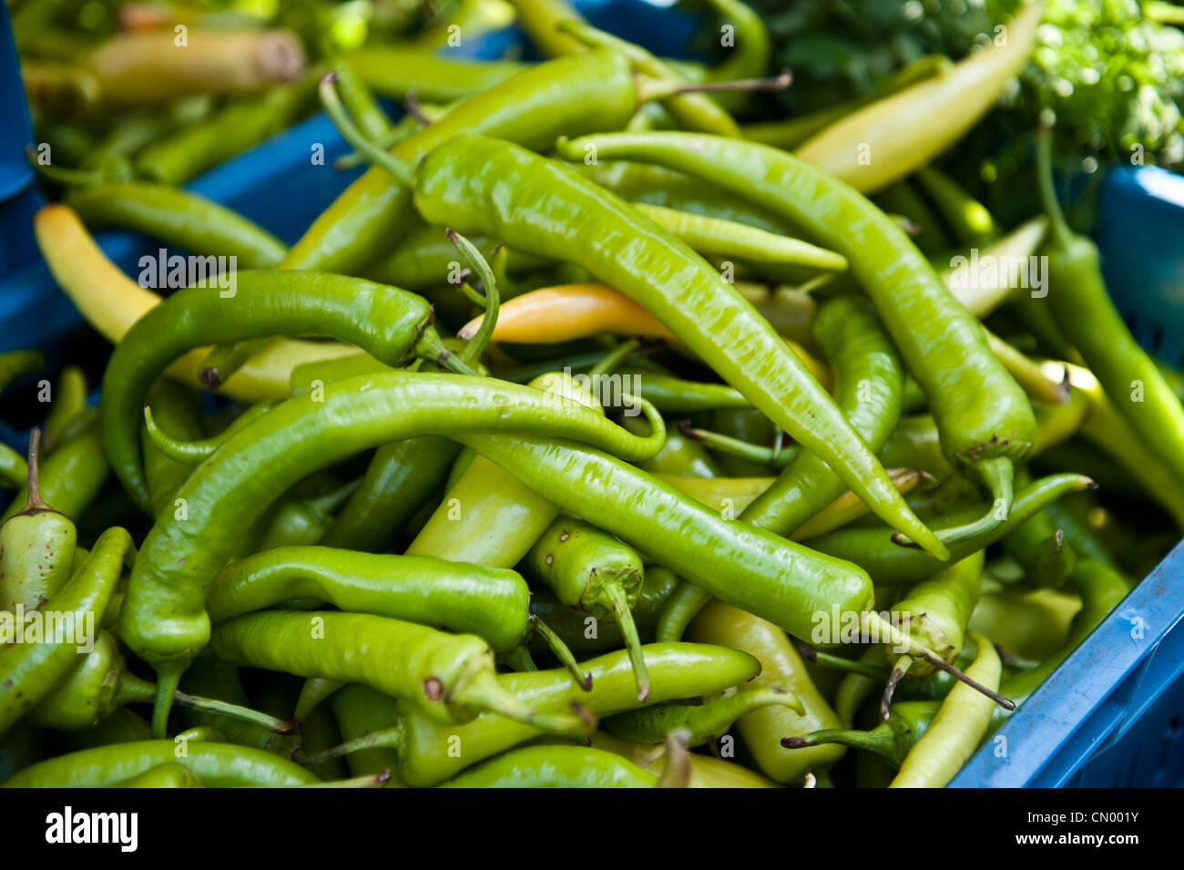 Chipotle color hi-res stock photography and images - Alamy