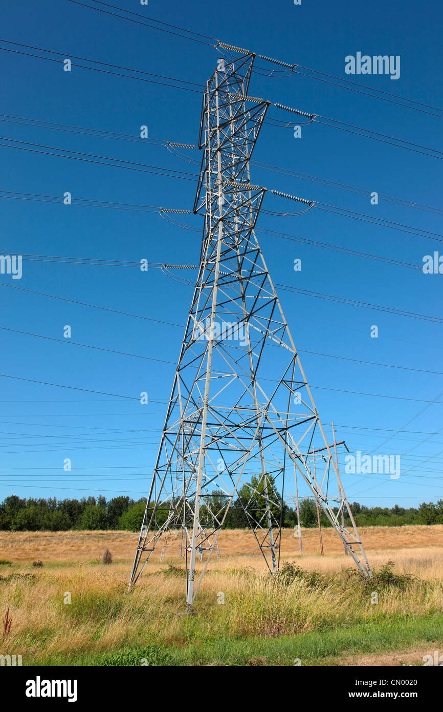 Electrical towers a distribution system, Oregon Stock Photo - Alamy