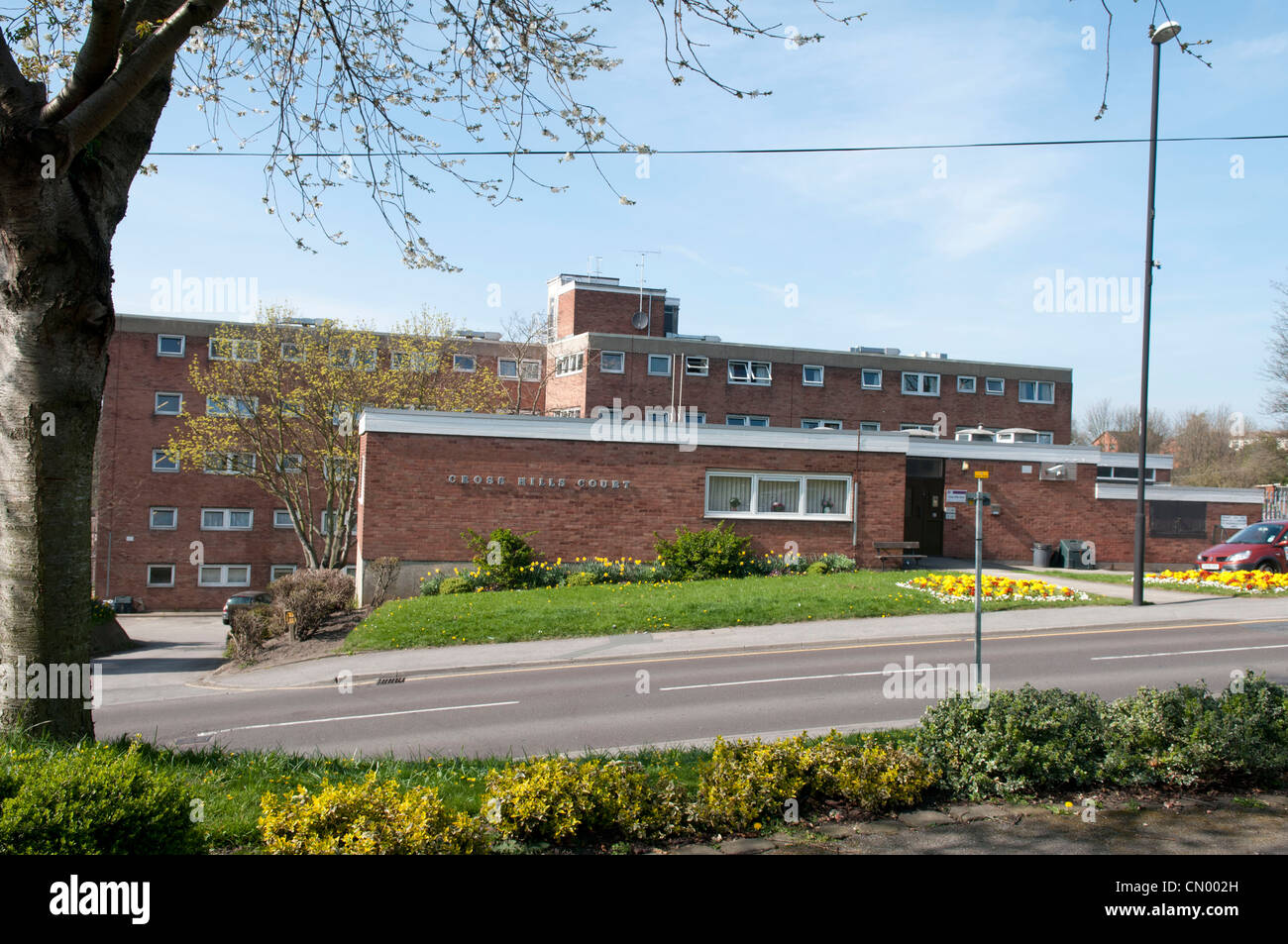 Kippax in bloom Stock Photo - Alamy