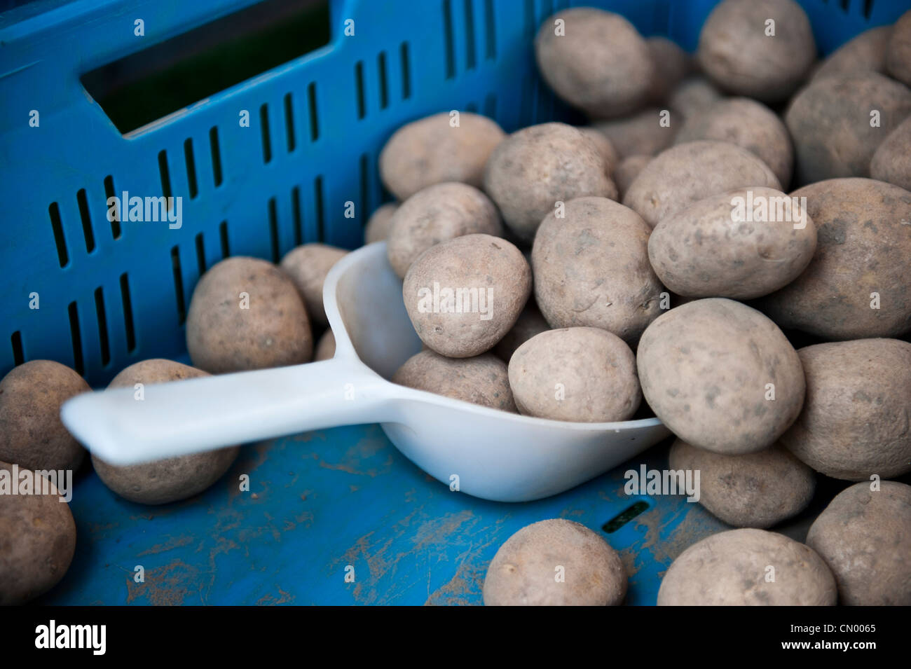 White scooper to pick out potatoes Stock Photo - Alamy
