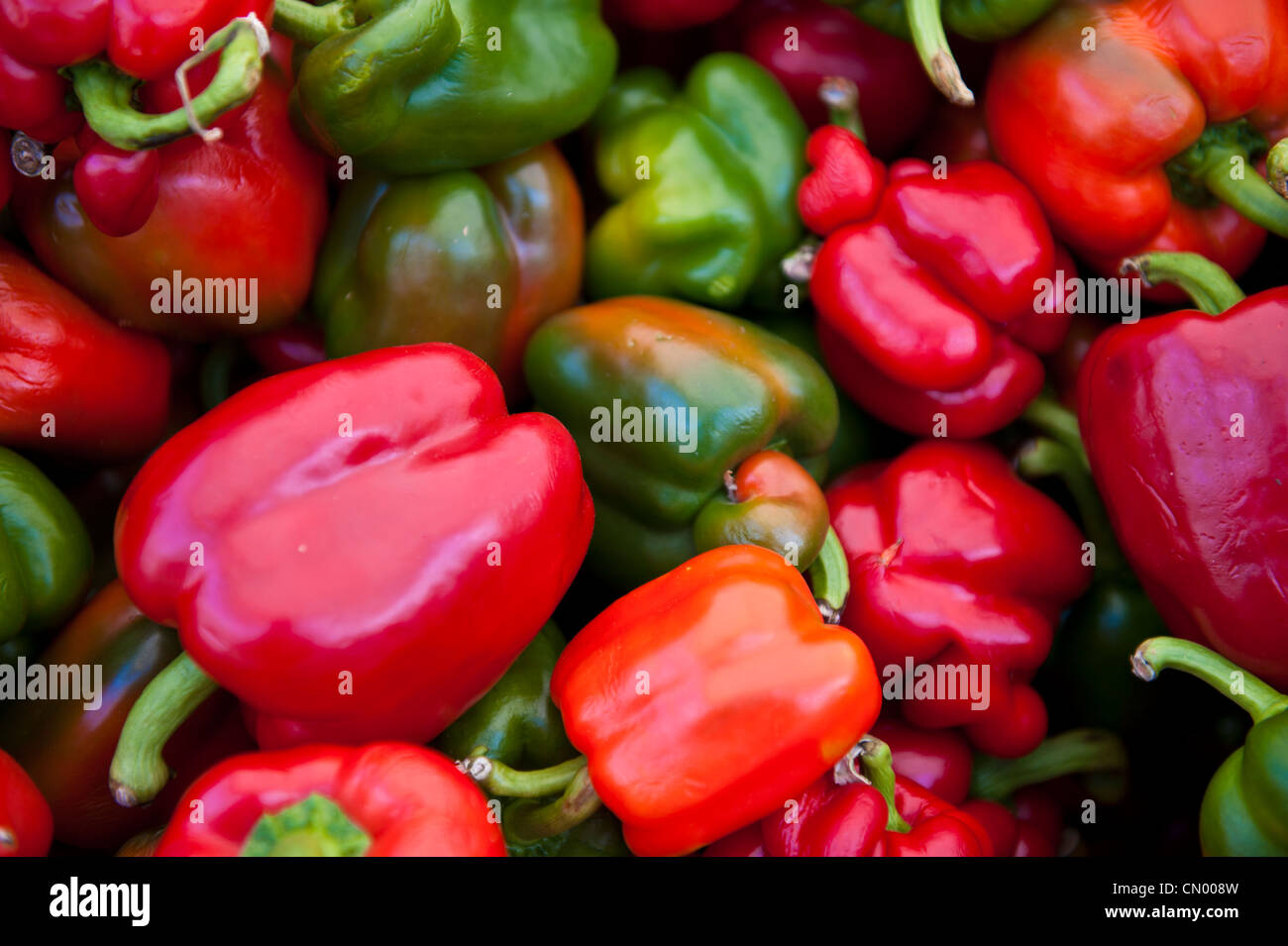 Shiny red and green peppers Stock Photo - Alamy