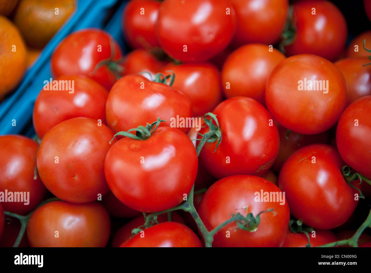 Light reflecting on ripe tomatoes Stock Photo - Alamy