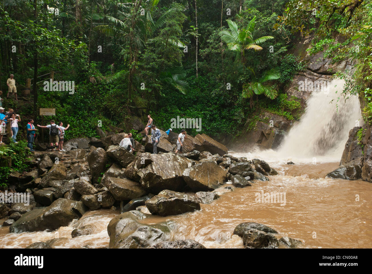 Tourists visit the waterfall at the La Mina River in the Yunque Rain ...