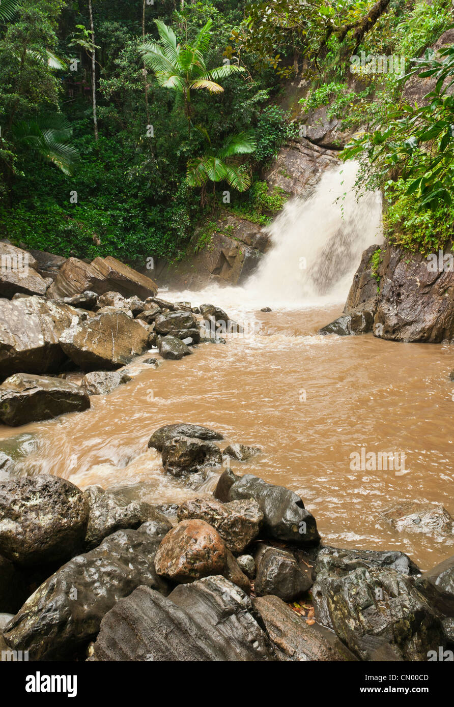 Waterfall at the La Mina River in the Yunque Rain Forest near San Juan ...