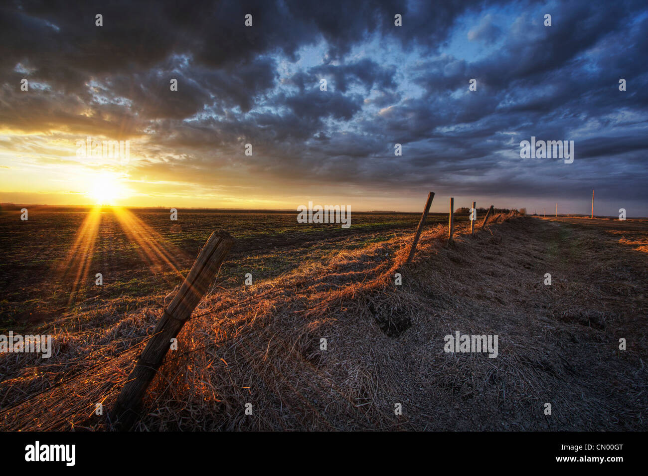 Namao hi-res stock photography and images - Alamy