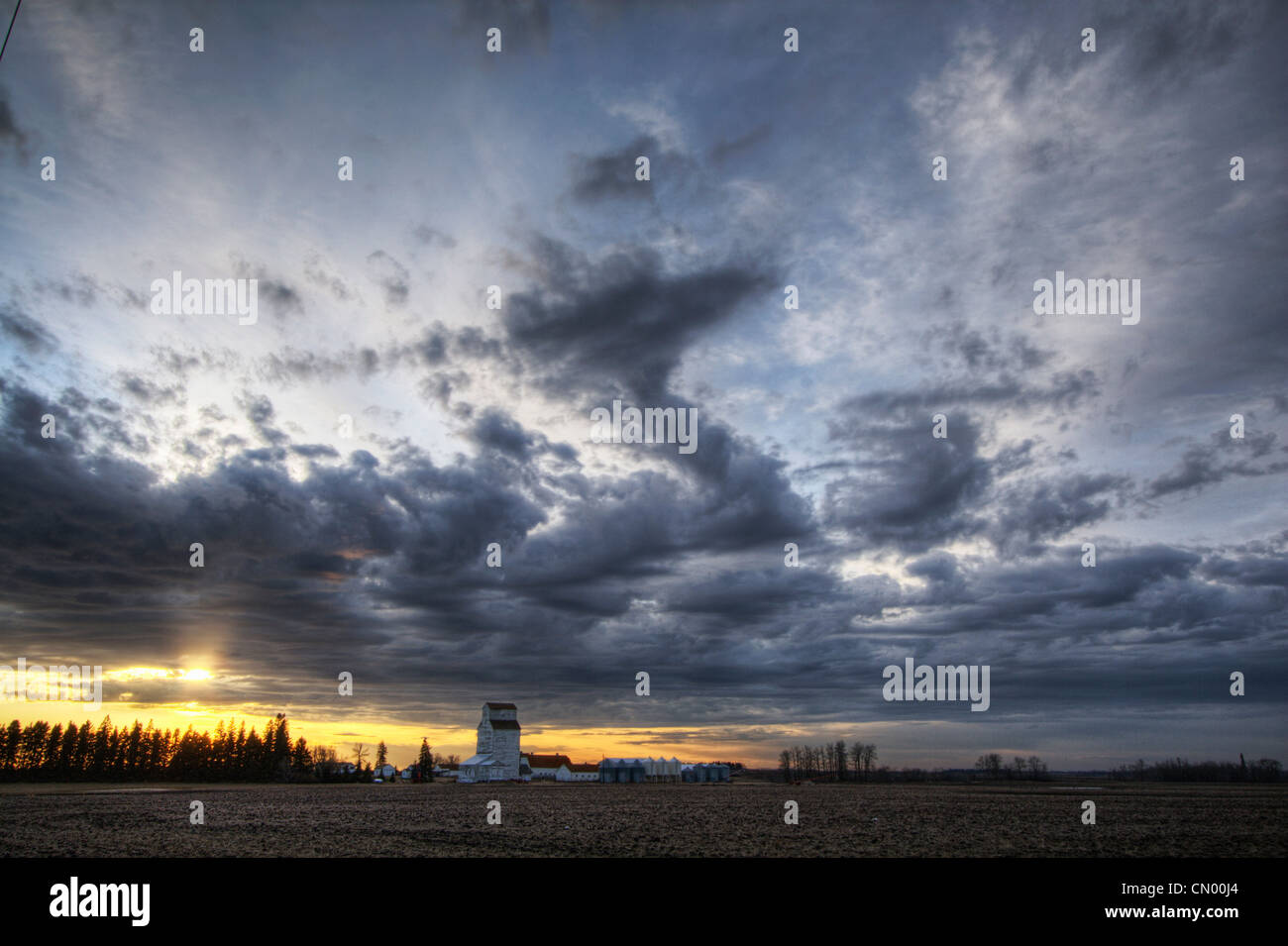 Distant Farm in Snowy Landscape at Sunset, Bon Accord, Alberta Stock ...