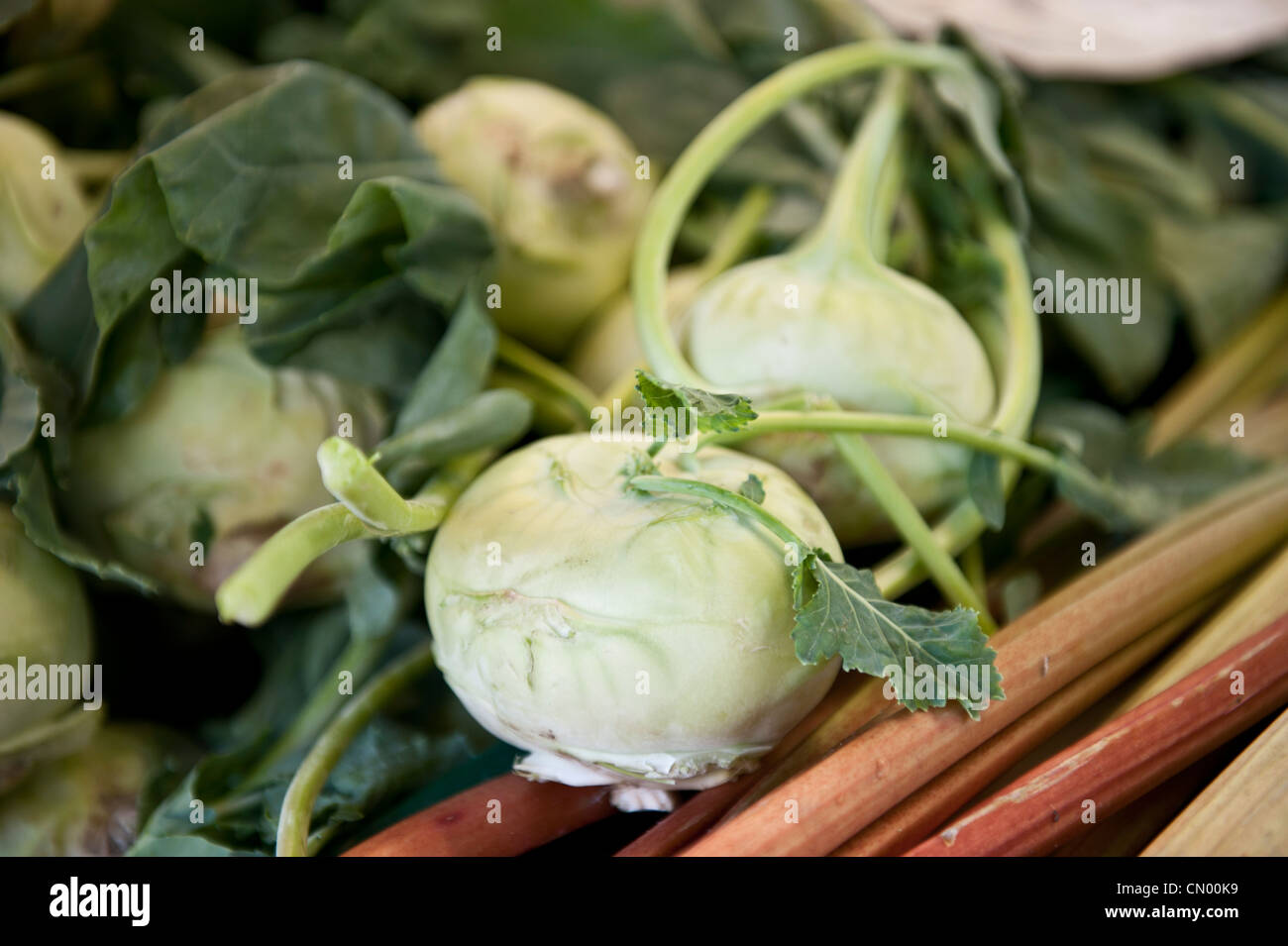 White beets on the grocery rack Stock Photo - Alamy